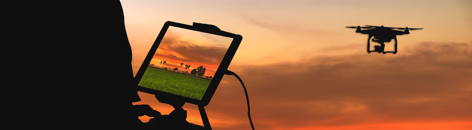 What is digital agriculture? - Queensland Alliance for Agriculture and ...