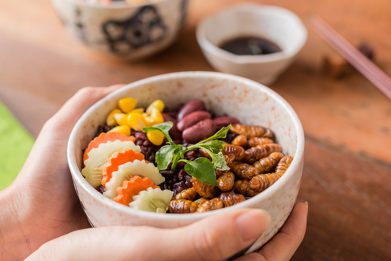 Would you like maggots with that? - Queensland Alliance for Agriculture ...