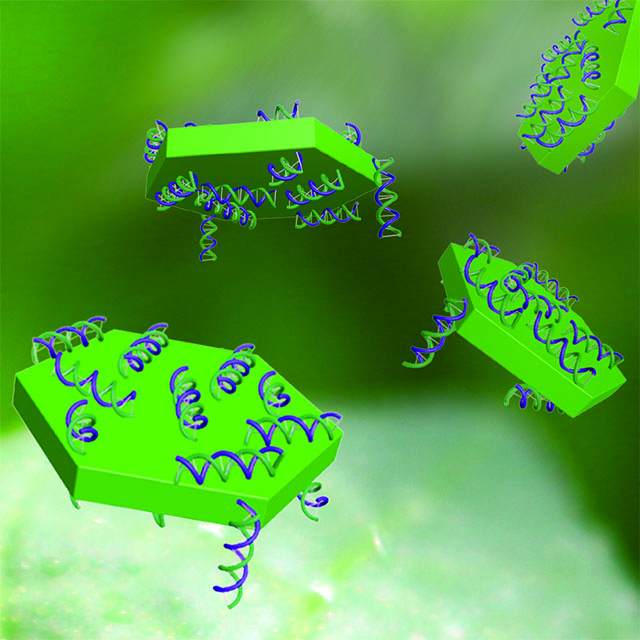 'BioClay' a ground - breaking discovery for world food security ...