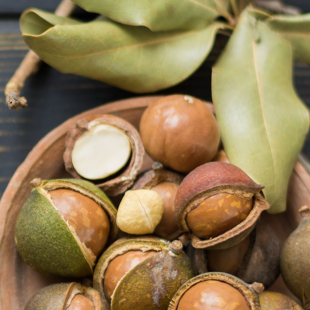Trials promise macadamia yield boost - Queensland Alliance for ...